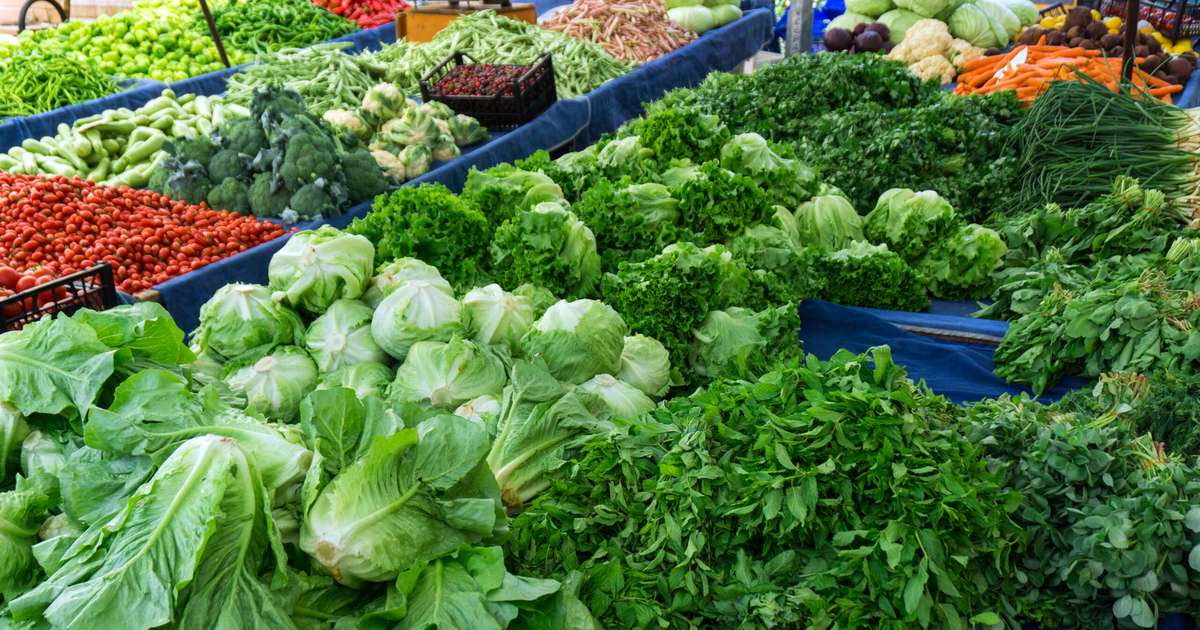 Conheça as 10 verduras mais saudáveis que existem e seus benefícios ...
