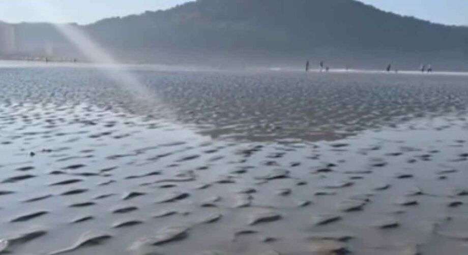 Mistério no litoral de São Paulo: mar seco deixa especialistas assustados