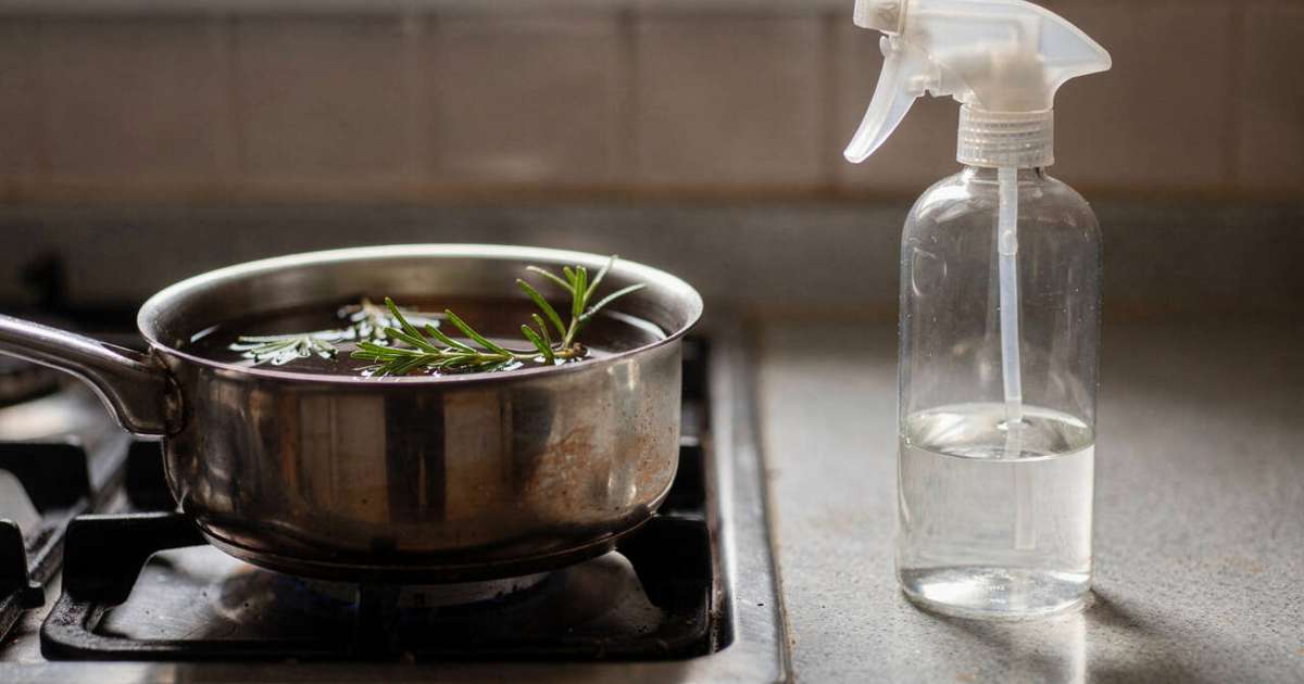 O tônico de alecrim que faz o cabelo parar de cair e preenche as falhas