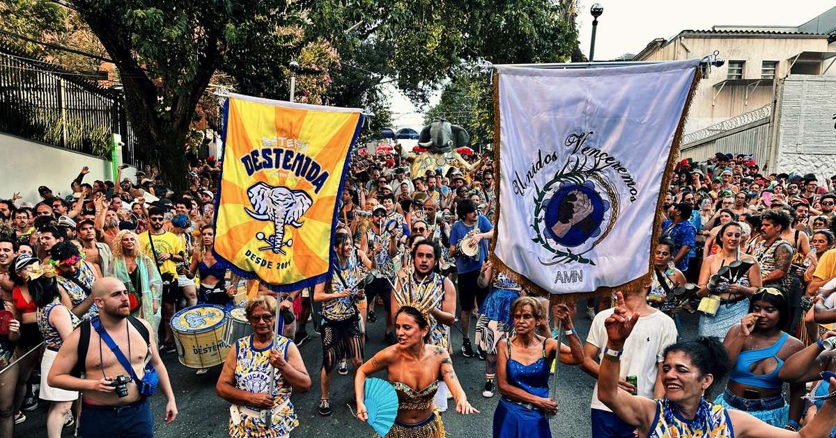 Unidos Venceremos leva a força afro-latina para o Carnaval 2026 em São ...