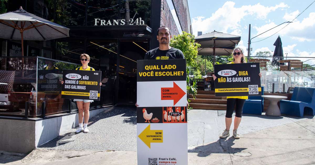 Frimesa, Fran’s Café e Casa do Pão de Queijo seguem ignorando ...