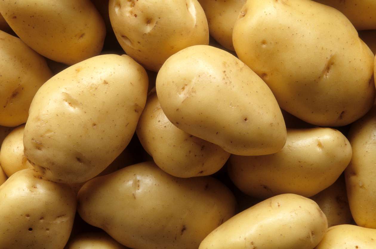 As batatas duram 3 vezes mais sem brotar se armazenadas com uma única fruta